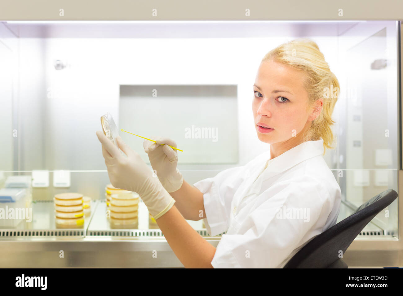 Scientist observing petri dish Stock Photo - Alamy