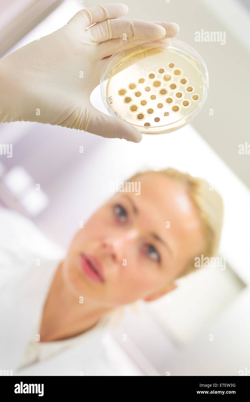 Scientist observing petri dish Stock Photo - Alamy
