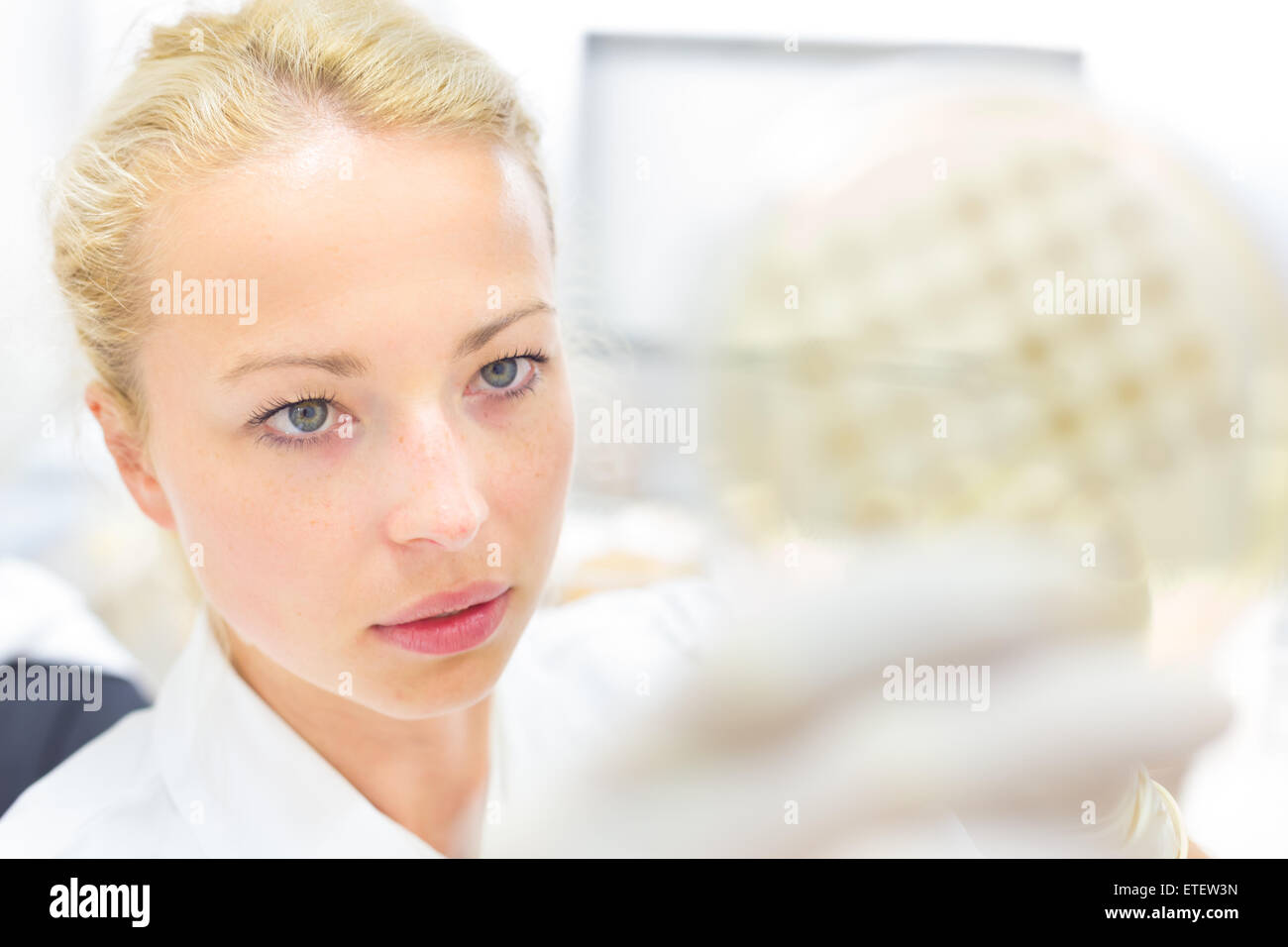 Scientist observing petri dish Stock Photo - Alamy