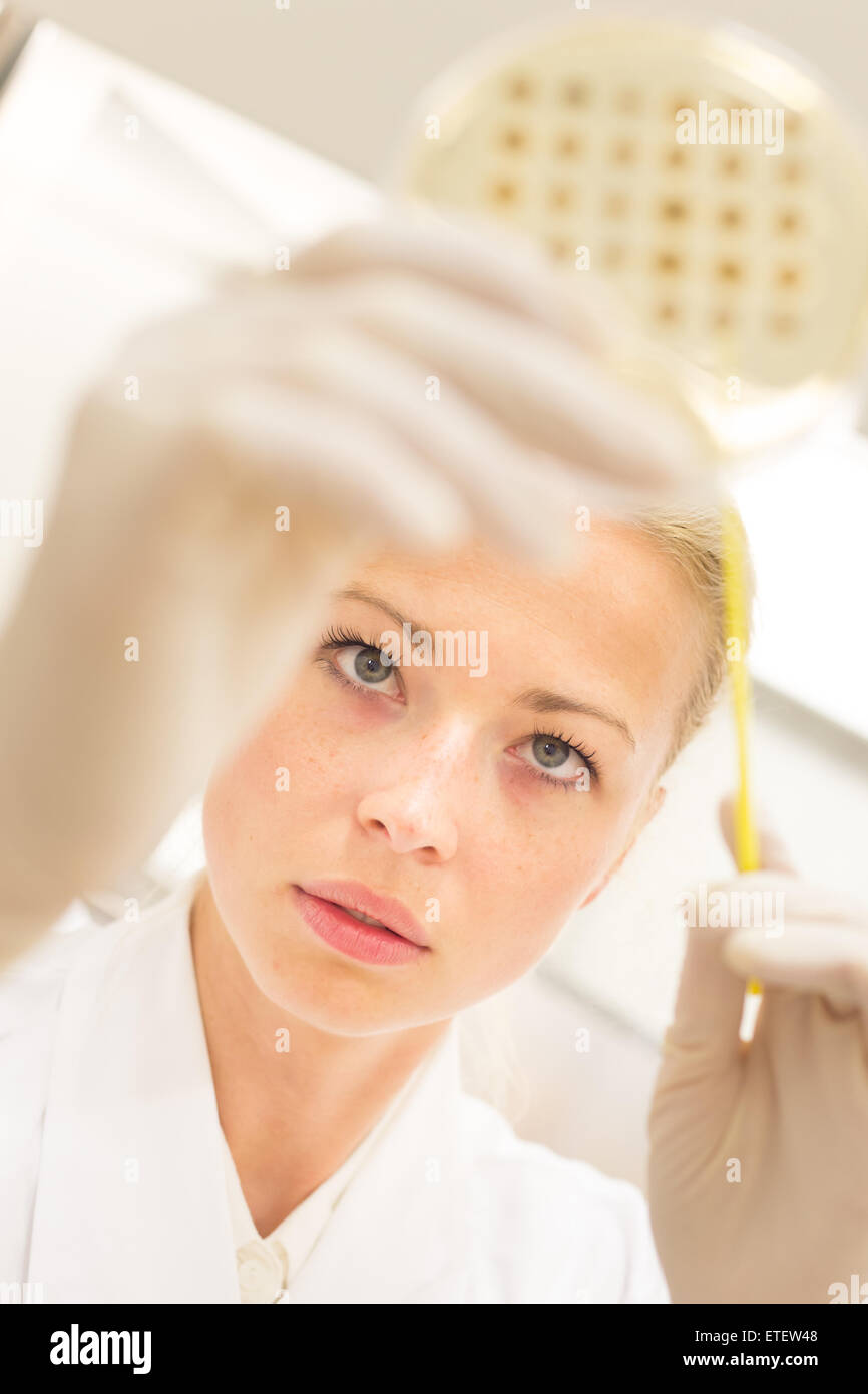 Scientist observing petri dish Stock Photo - Alamy