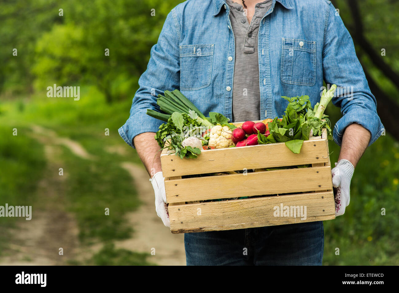 Eco concept for farmers in garden with harvest Stock Photo - Alamy