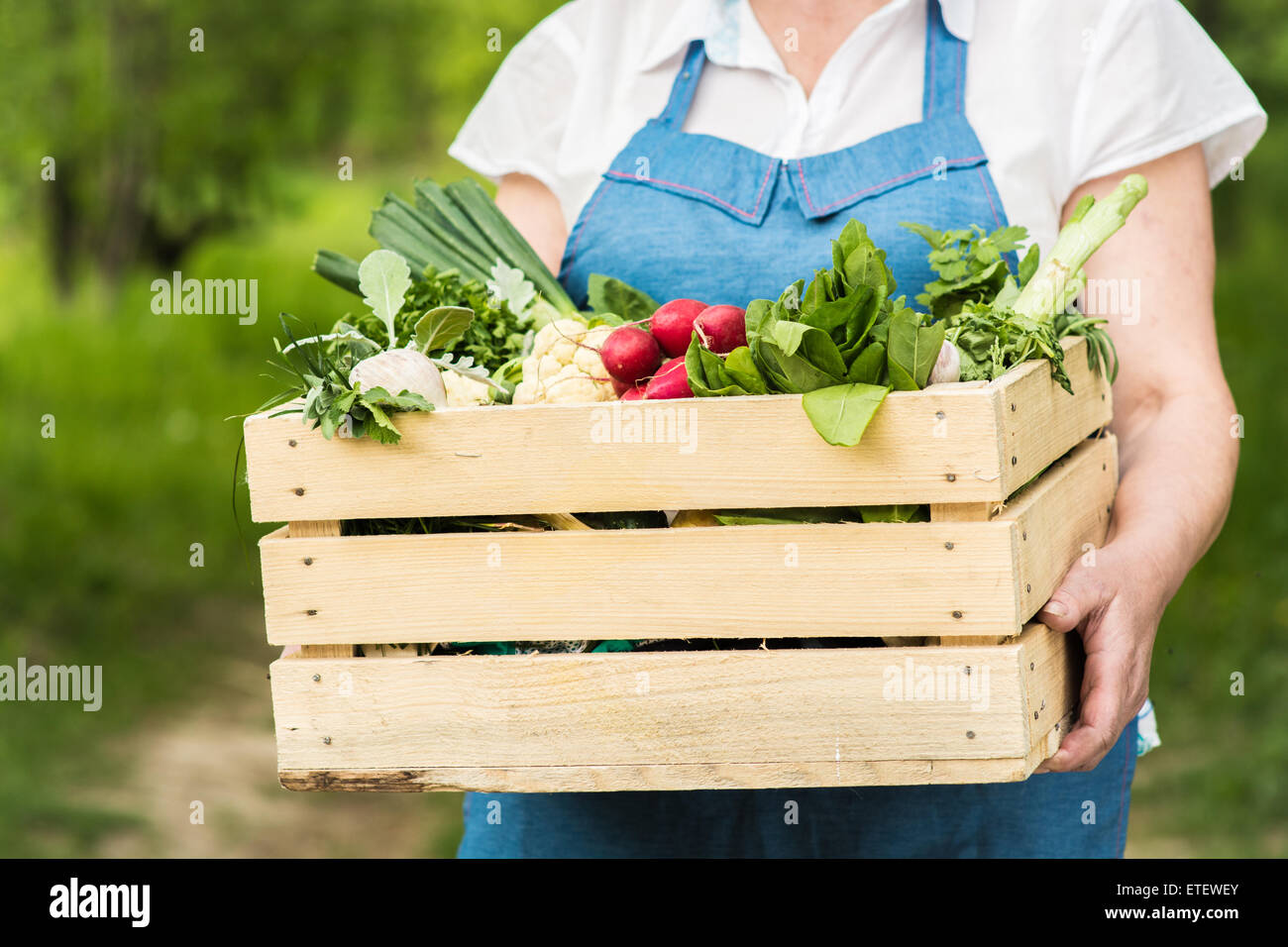 Eco concept for farmers in garden with harvest Stock Photo - Alamy