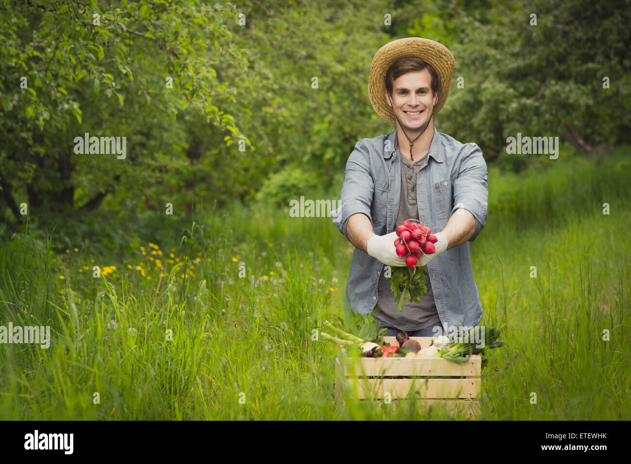 Eco concept for farmers in garden with harvest Stock Photo - Alamy