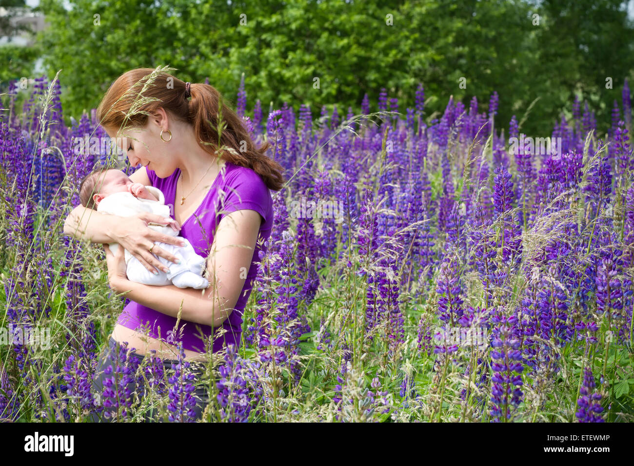Young mother with her newborn baby in purple lupines field Stock Photo ...