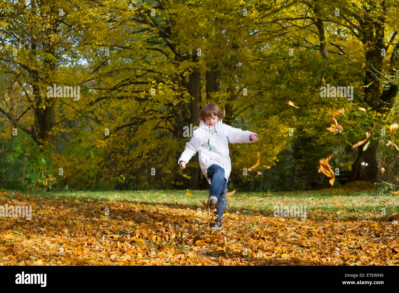 Boy jumping and playing with golden autumn leaves Stock Photo - Alamy