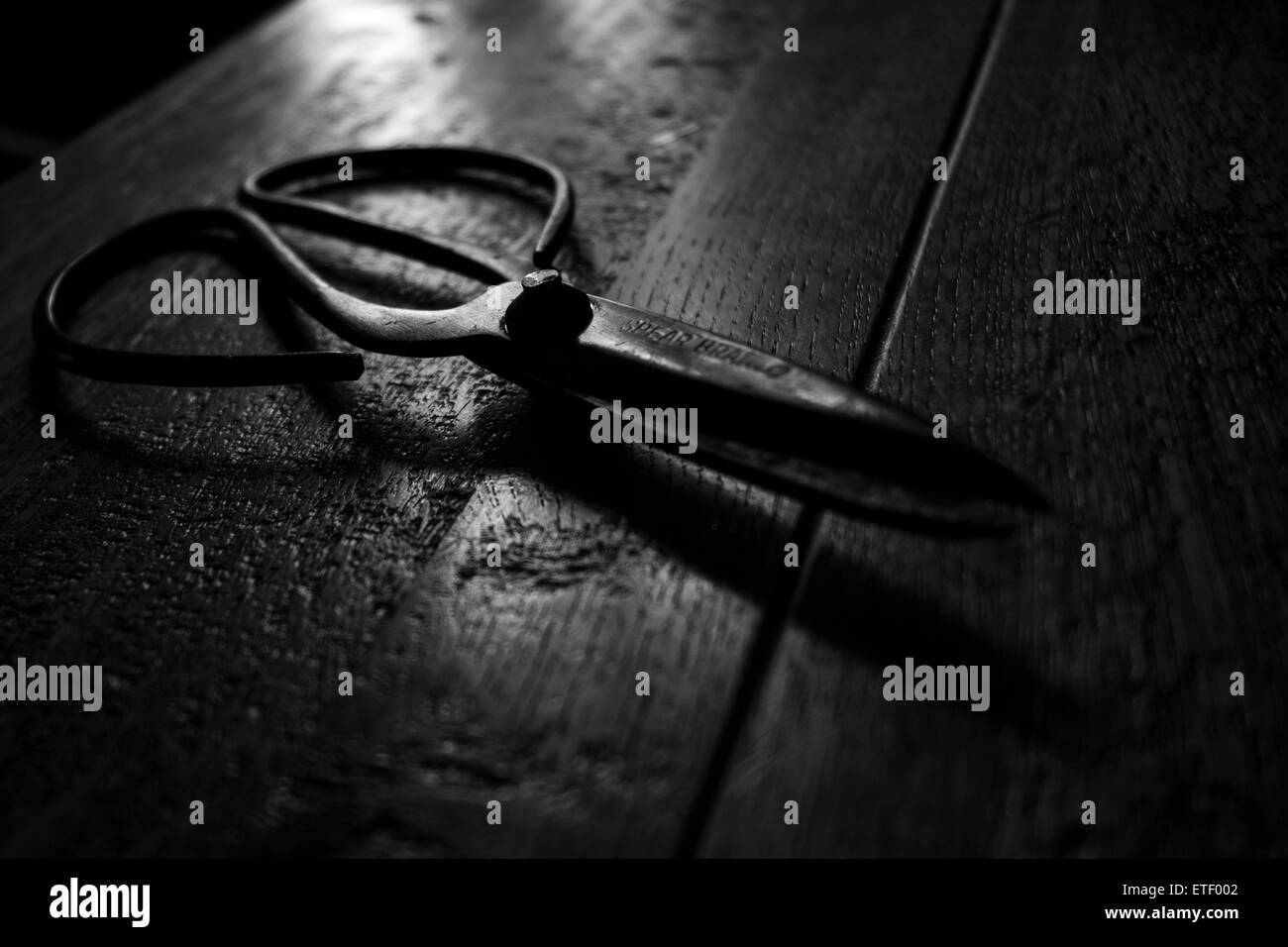 Scissors Black and White Stock Photos & Images - Alamy