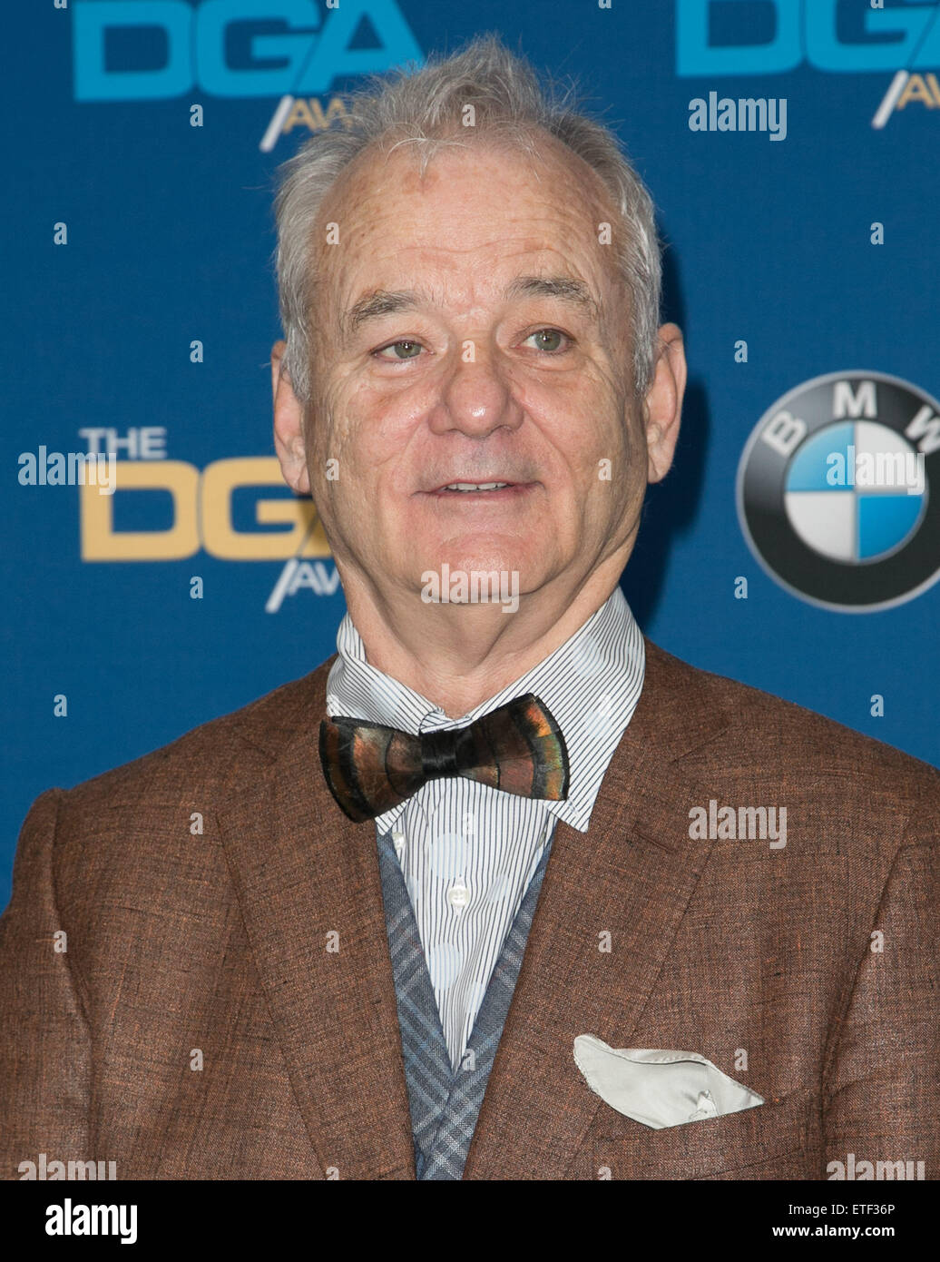 Celebrities attend 67th Annual DGA Awards - Arrivals at the Hyatt ...