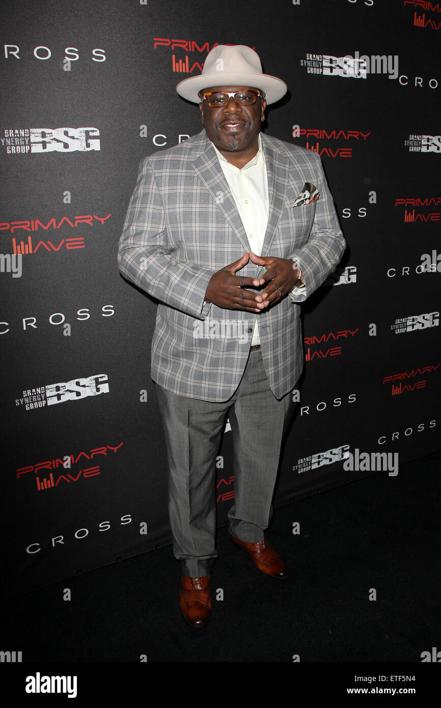 Primary Wave 9th Annual Pre-Grammy party Featuring: Cedric the ...