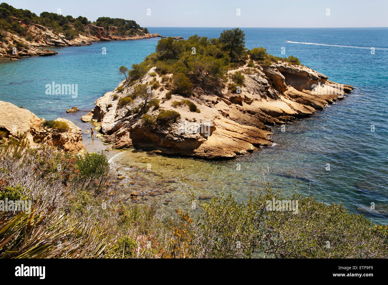 Perello hi-res stock photography and images - Alamy