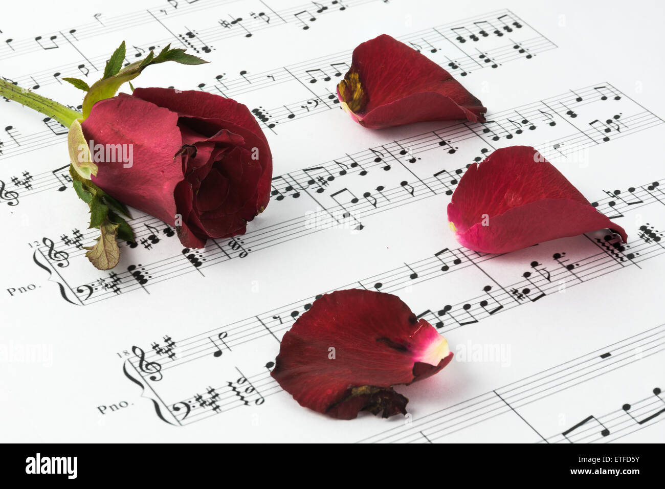 Musical notes roses hi-res stock photography and images - Alamy