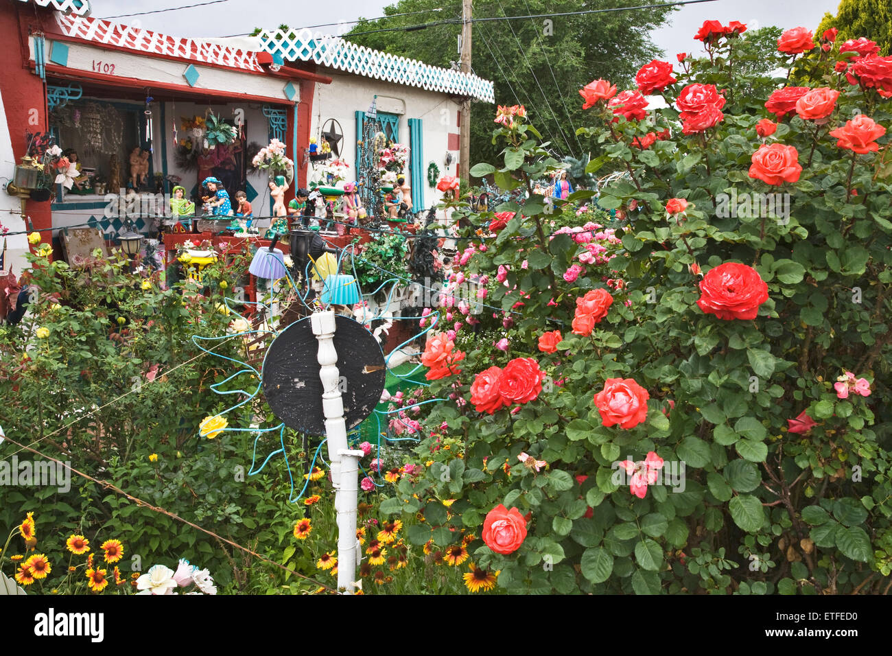 June roses burst into color at the folk art garden of C.L."Tunnie ...