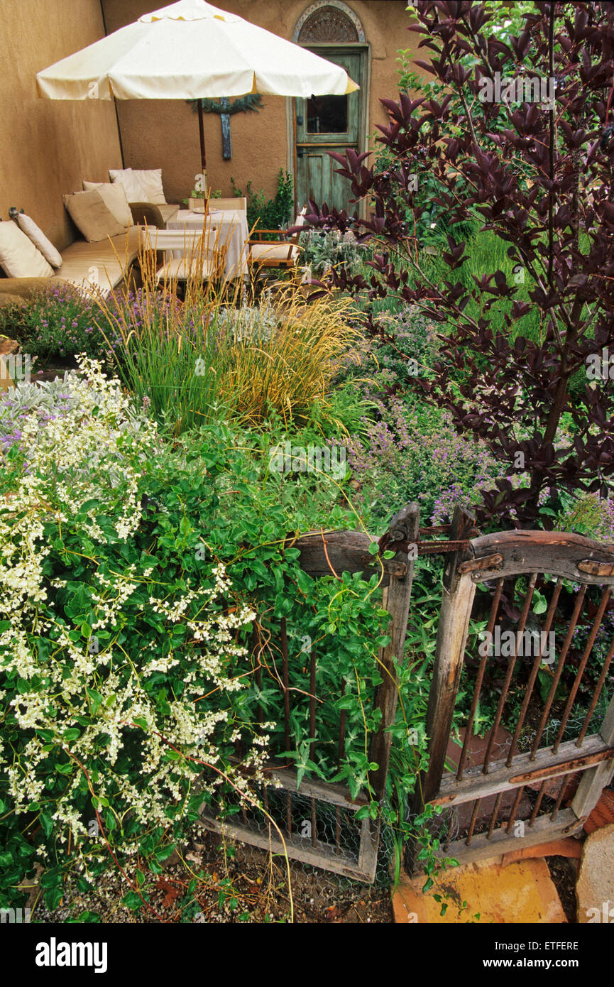 Silver vine hi-res stock photography and images - Alamy