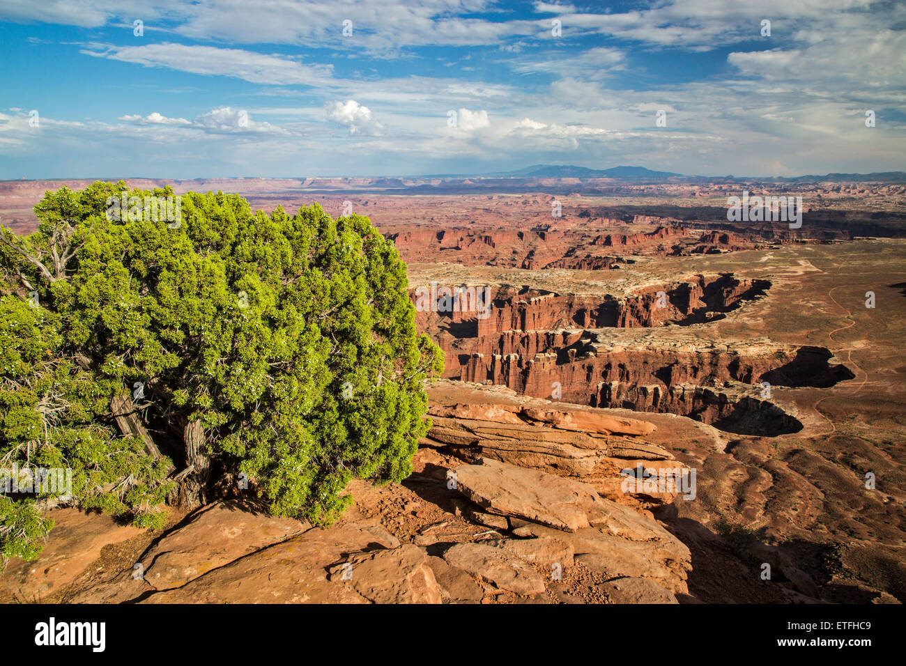 The vista at Grand View Point Overlook in the Island in the Sky portion ...