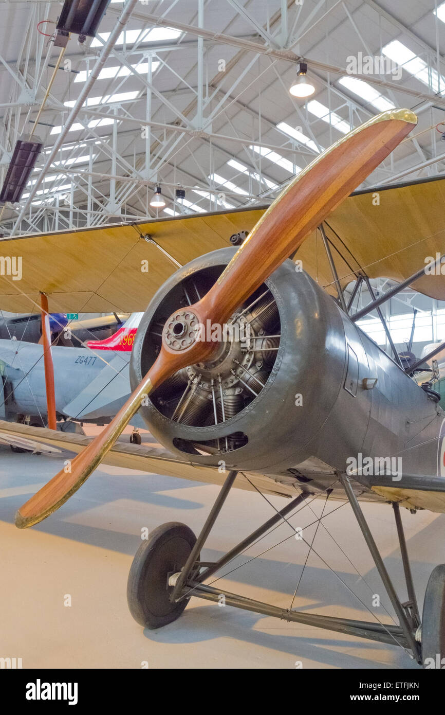 Sopwith Strutter High Resolution Stock Photography and Images - Alamy
