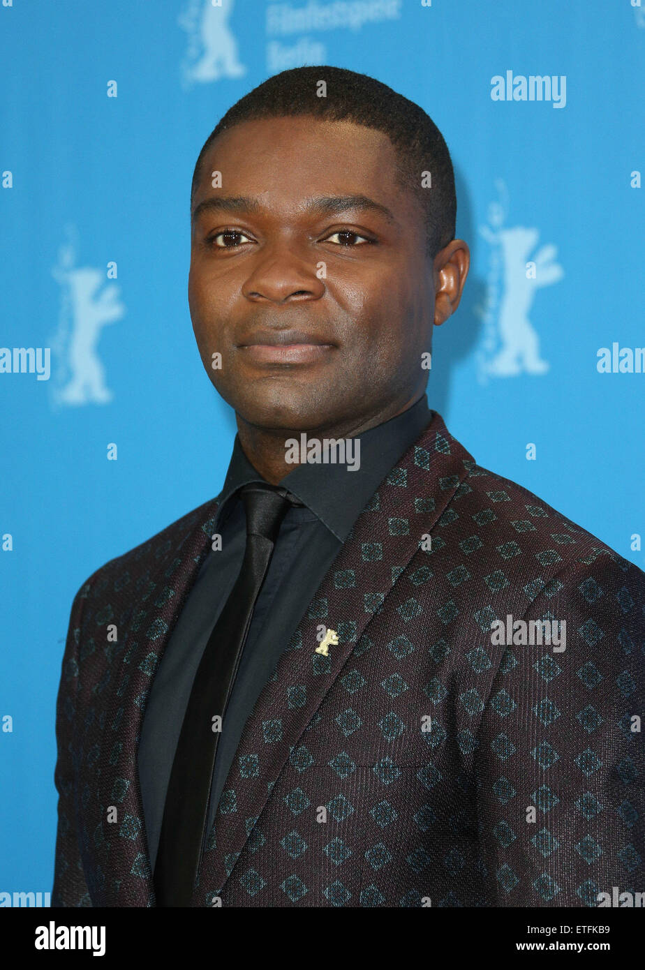 65th Berlin International Film Festival (Berlinale) - Selma - Photocall ...