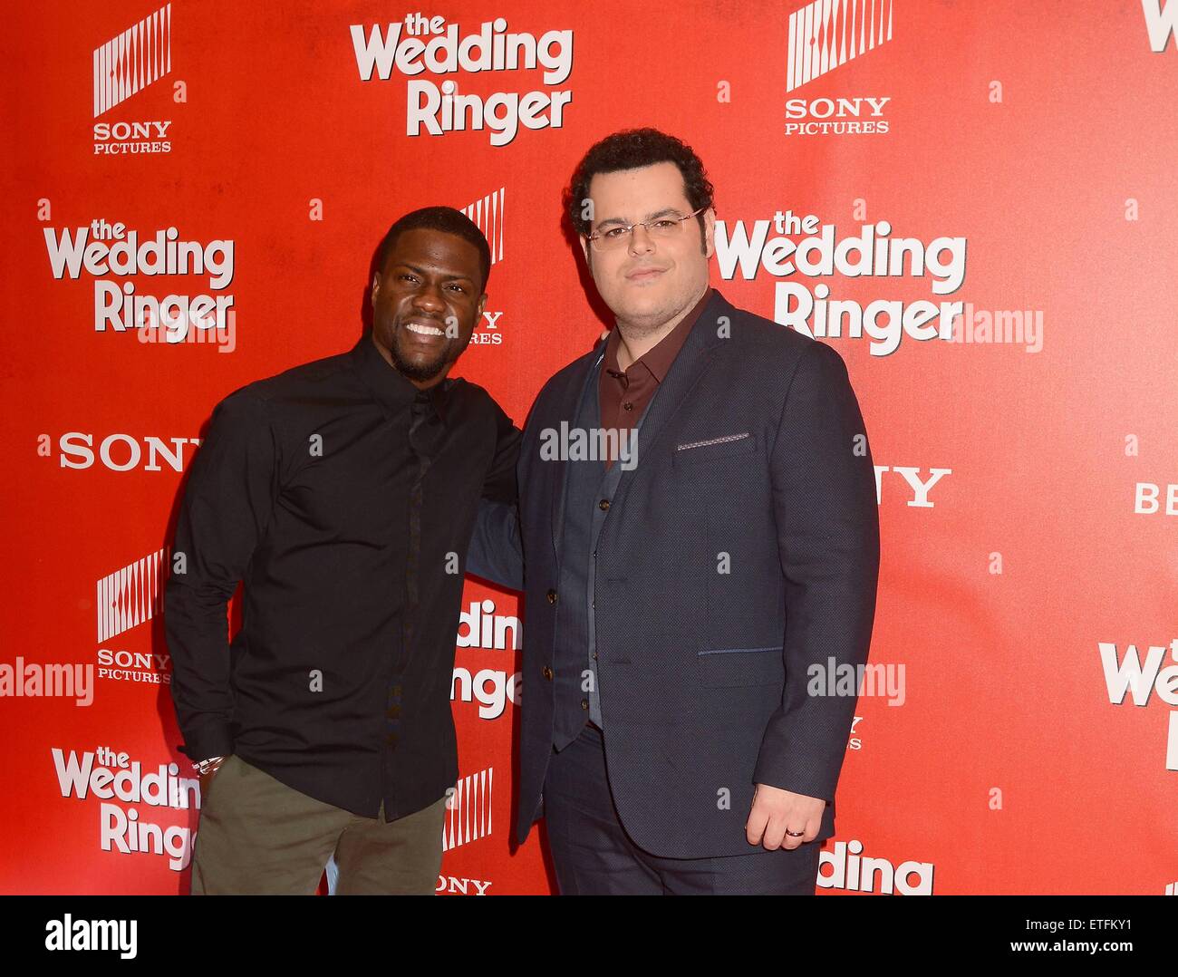 Wedding Ringer Movie Poster