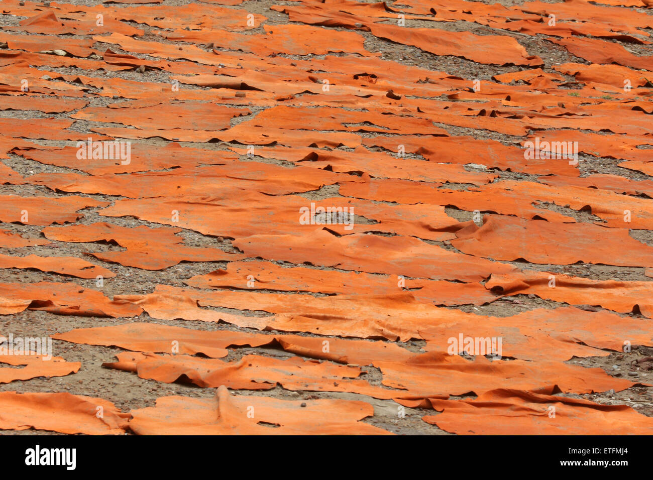 Hazaribagh tannery hi-res stock photography and images - Alamy