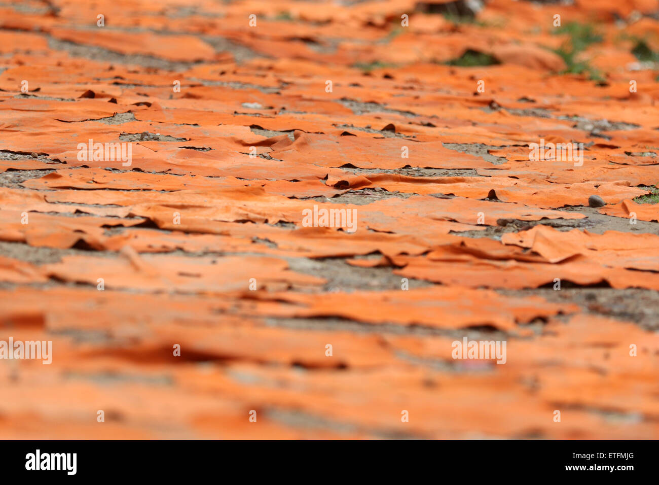 Tanneries Leather drying. Hazaribagh toxic leather tannery in Dhaka ...