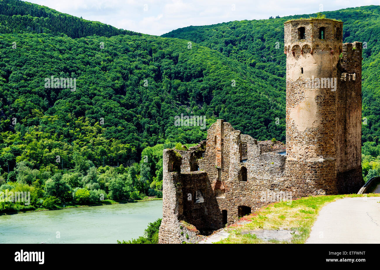 Ruined Castle Ehrenfels Rudesheim Hesse Germany Europe Stock Photo - Alamy