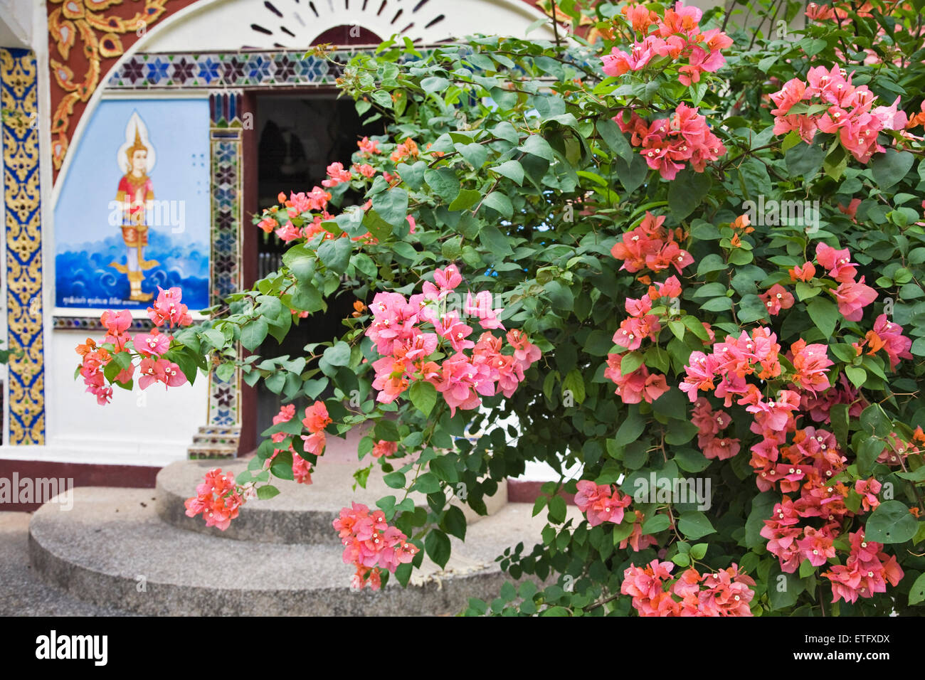Thampala hi-res stock photography and images - Alamy