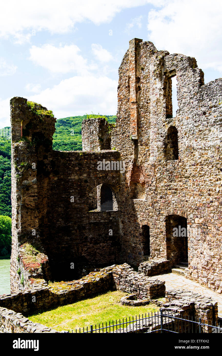 Ruined Castle Ehrenfels Rudesheim Hesse Germany Europe Stock Photo - Alamy