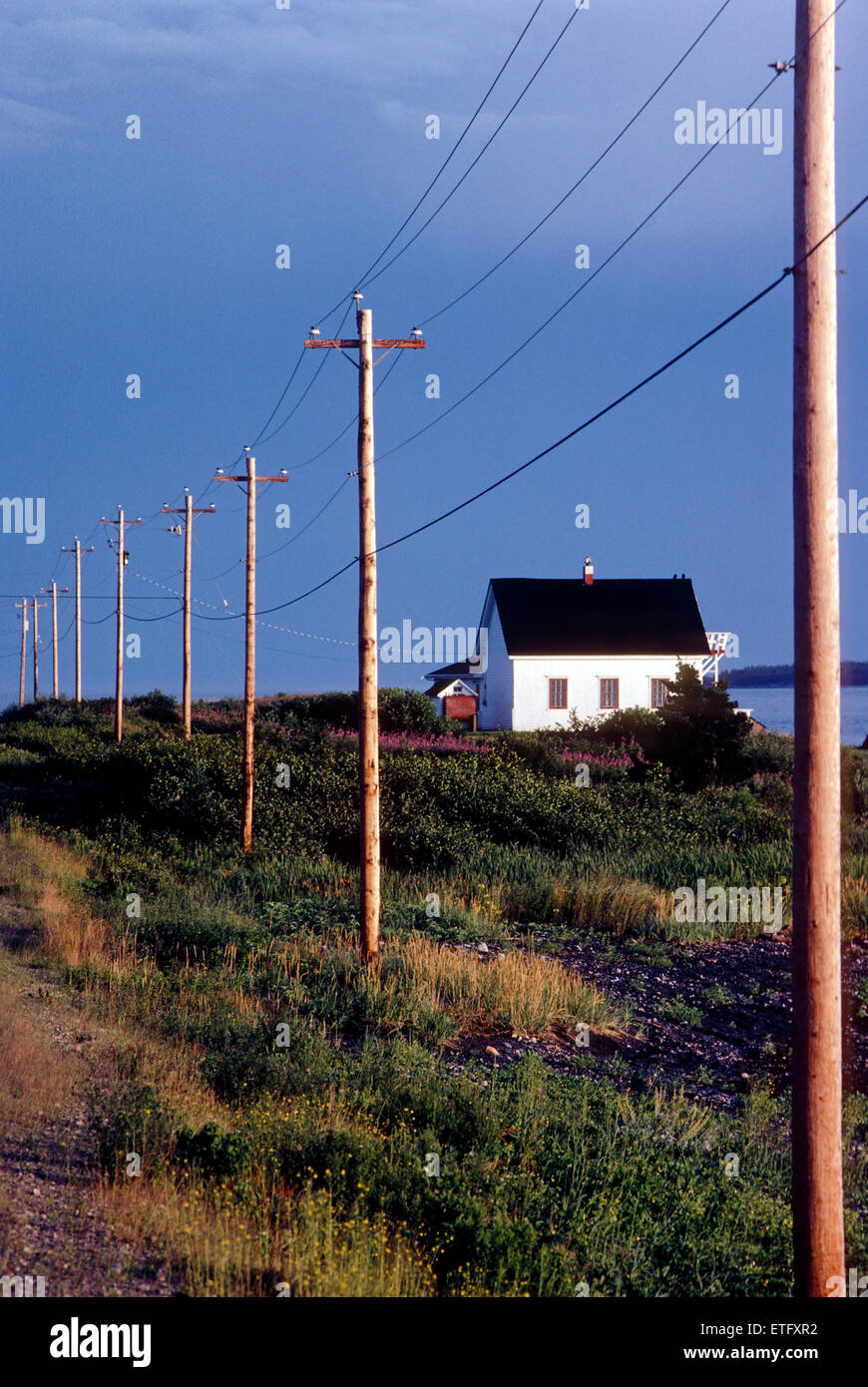 Pavement power lines hi-res stock photography and images - Alamy