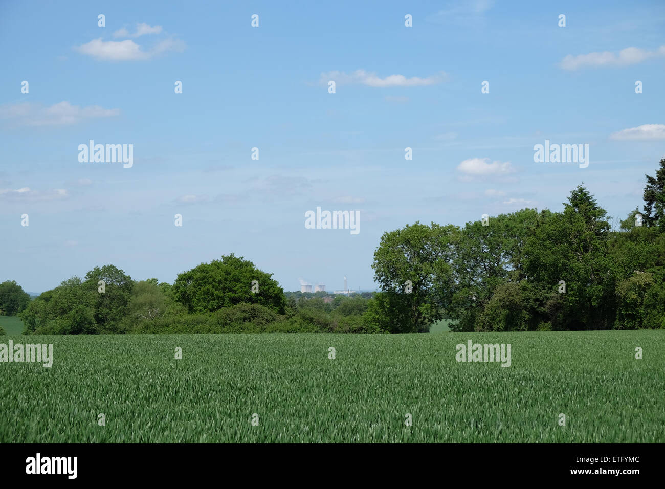Land for growing crops hi-res stock photography and images - Alamy