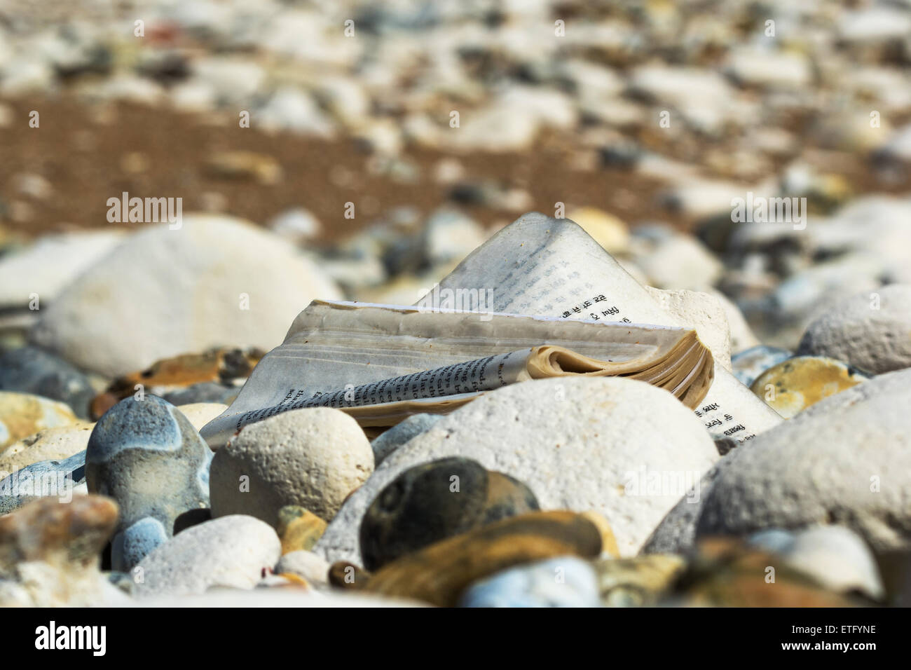 An old broken book on a pebble beach Stock Photo - Alamy