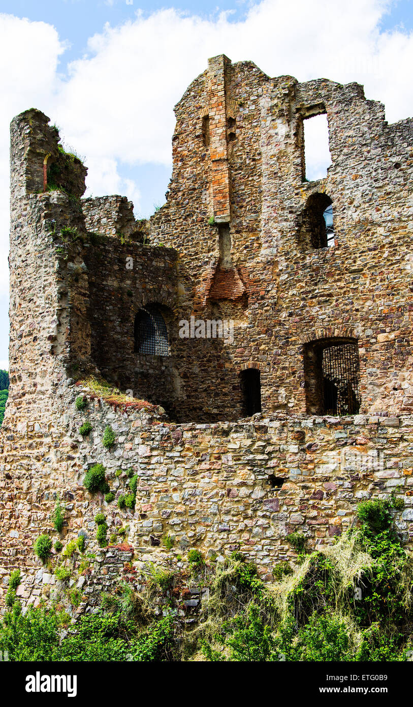 Ruined Castle Ehrenfels Rudesheim Hesse Germany Europe Stock Photo - Alamy