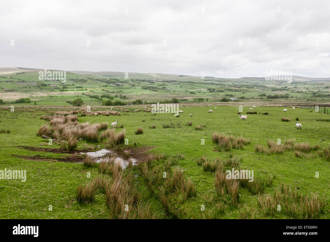 The antrim hills hi-res stock photography and images - Alamy