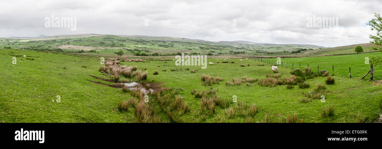 County Antrim countryside and hills Stock Photo - Alamy