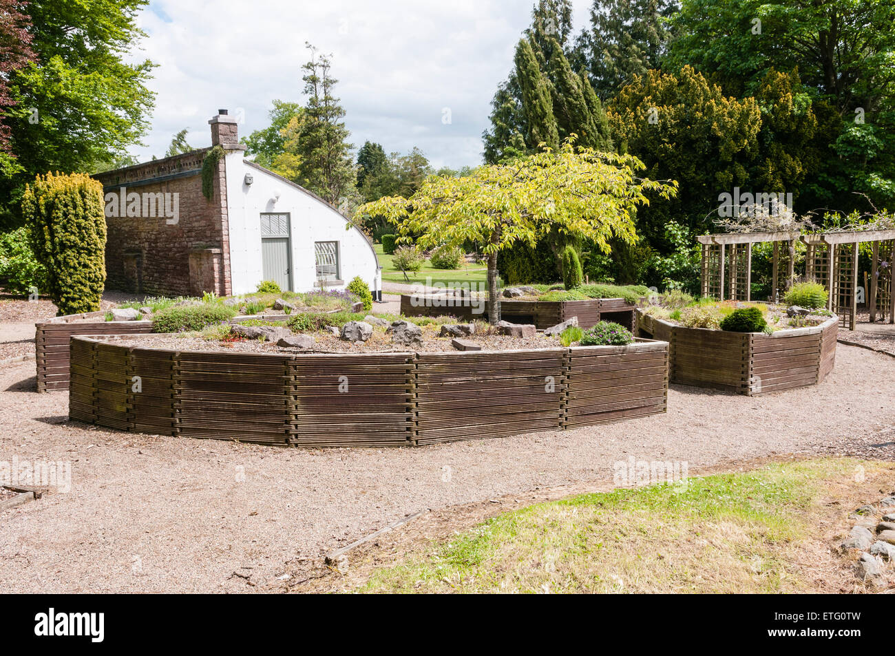Raised sensory garden designed for people with disabilities Stock Photo ...