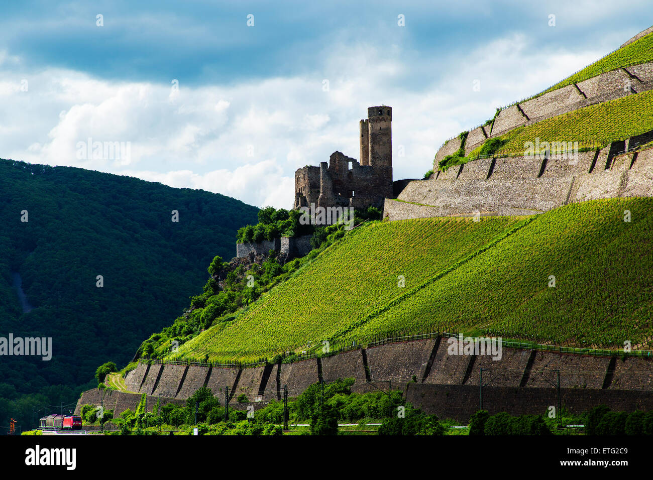Ruined Castle Ehrenfels on the River Rhine Rudesheim Hesse Germany ...