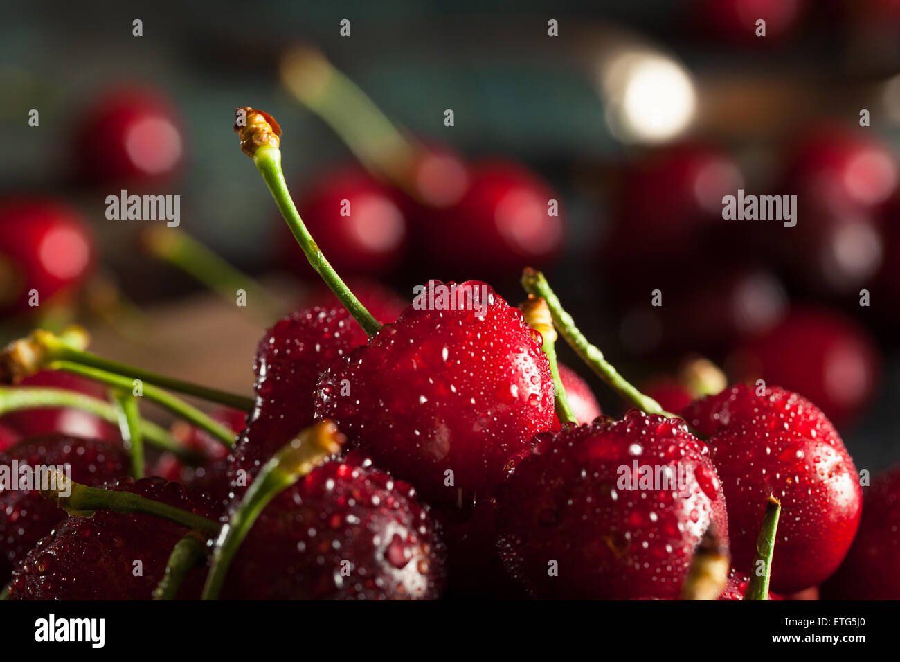 Raw Organic Red Cherries Ready to Eat Stock Photo - Alamy