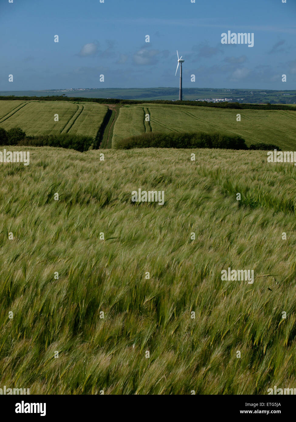 Uk farmland crops hi-res stock photography and images - Alamy