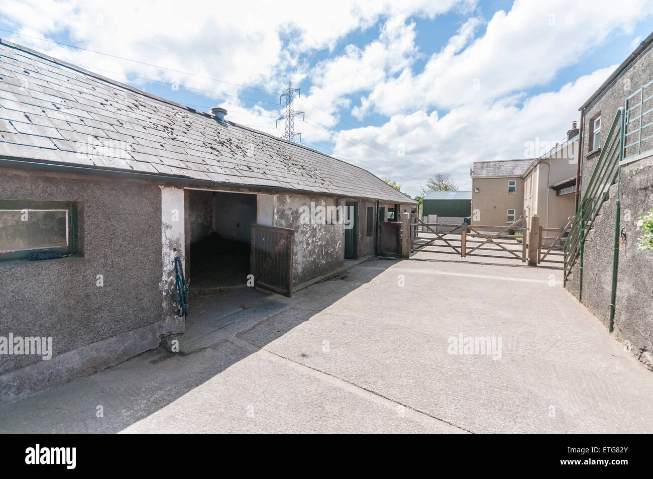 Stable environment hi-res stock photography and images - Alamy