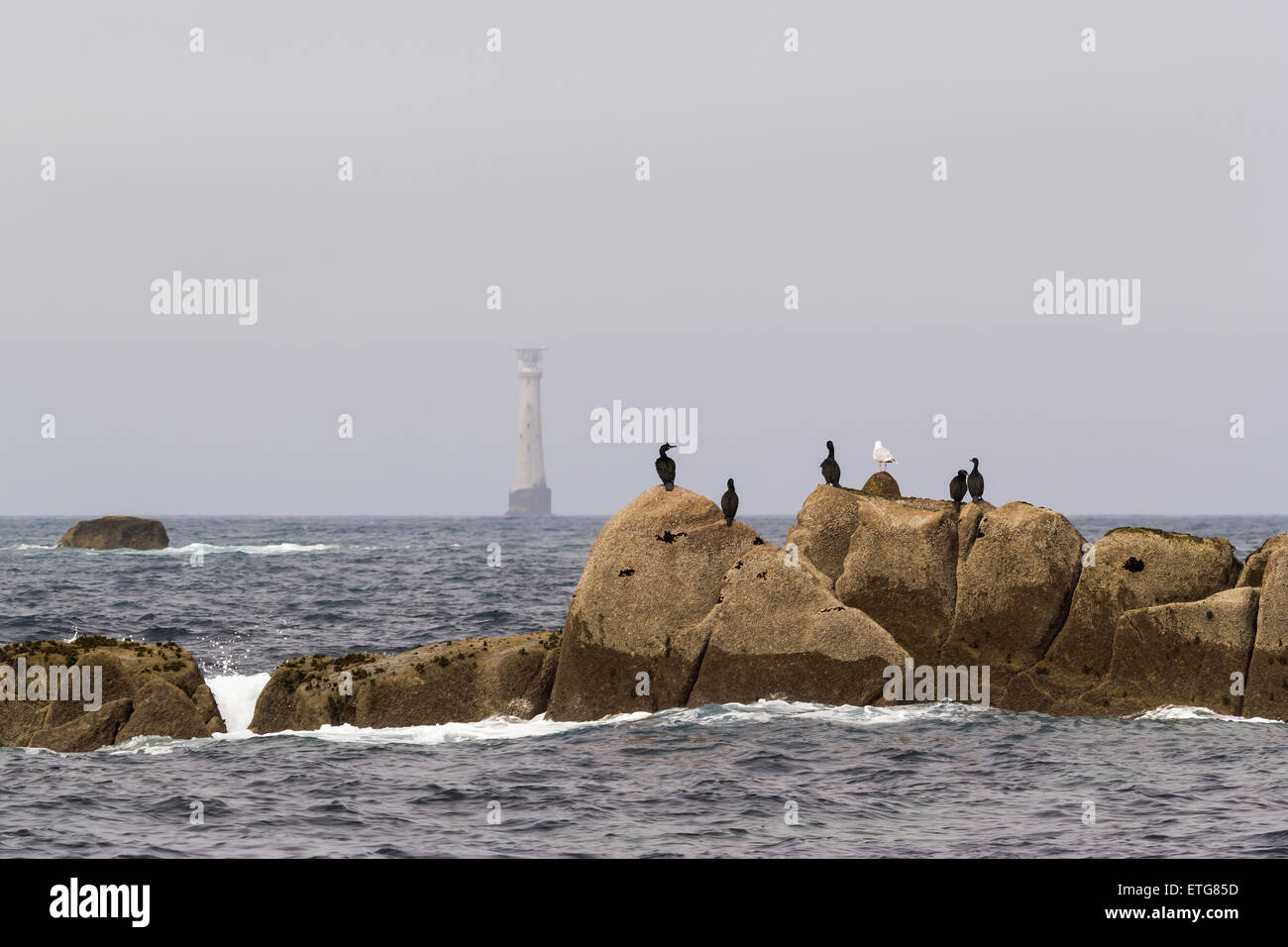 Bishop Rock Lighthouse (Isles of Scilly) with cormorants sitting on ...