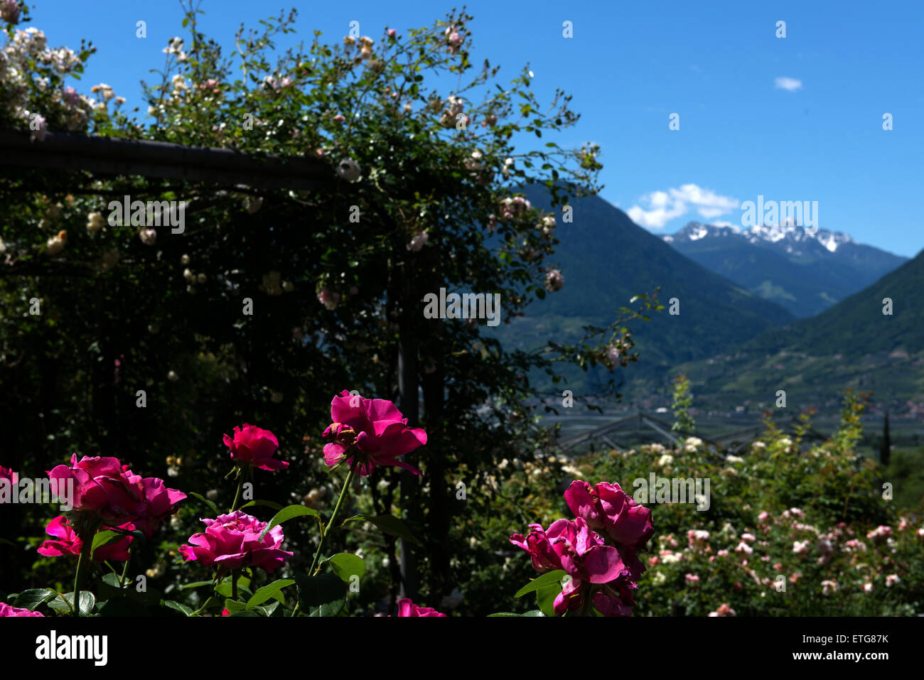 The Gardens of Trauttmansdorff Castle Merano, south tyrol, Italy Stock ...