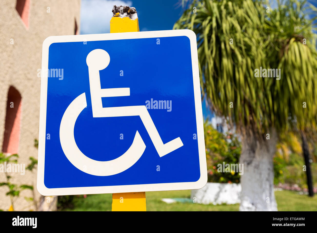 Blue handicapped sign with wheelchair, outdoors Stock Photo - Alamy