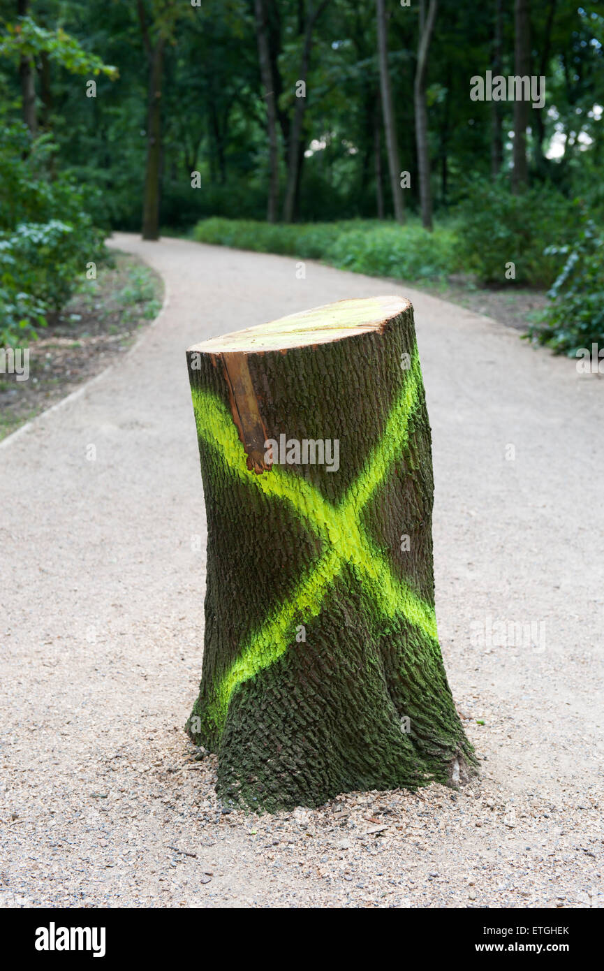 Tree stub with a mark in a park in Berlin Germany Europe Stock Photo ...