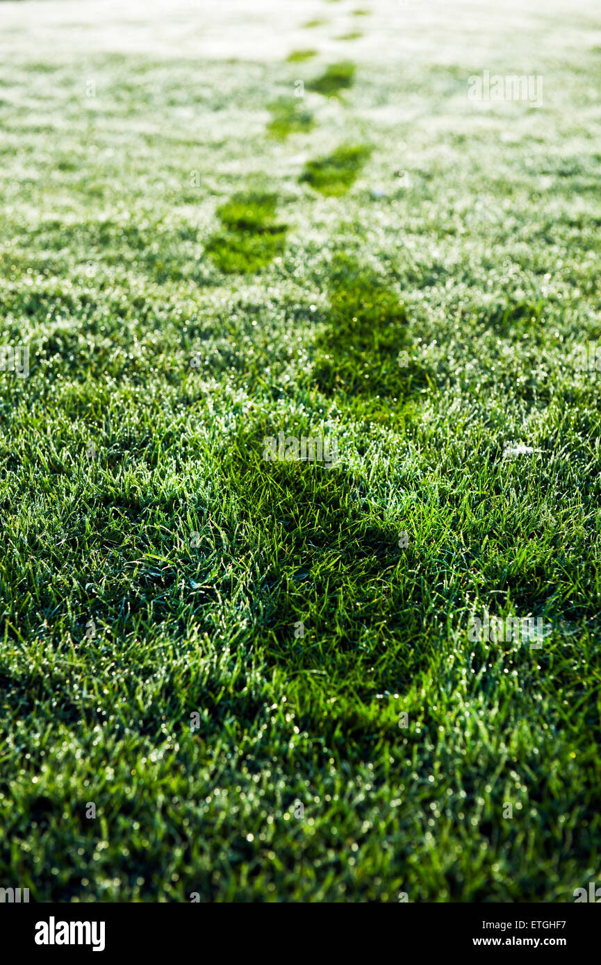 Wet footprint trail track hi-res stock photography and images - Alamy