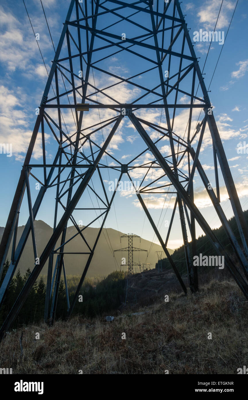 Transmission lines through the forest hi-res stock photography and ...