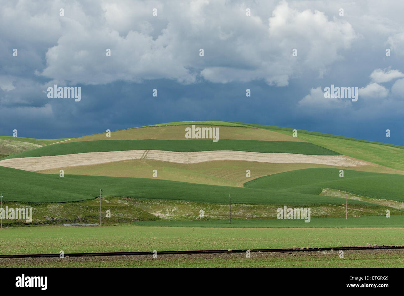 Strip cropping hi-res stock photography and images - Alamy