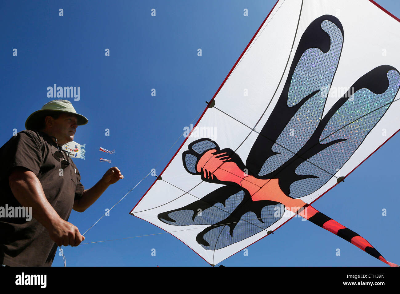 Kite Displays High Resolution Stock Photography and Images - Alamy