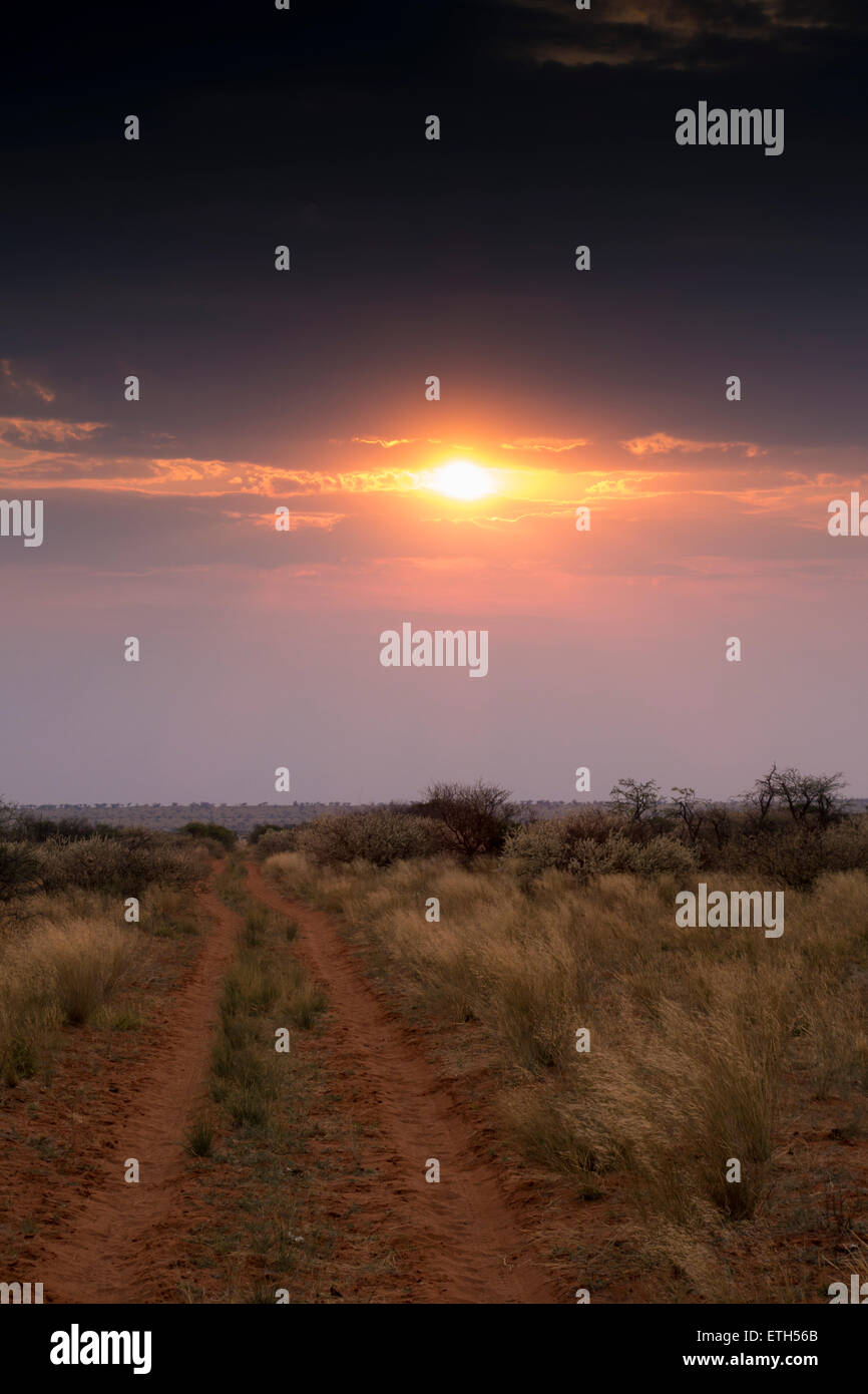 Tswalu game reserve hi-res stock photography and images - Alamy
