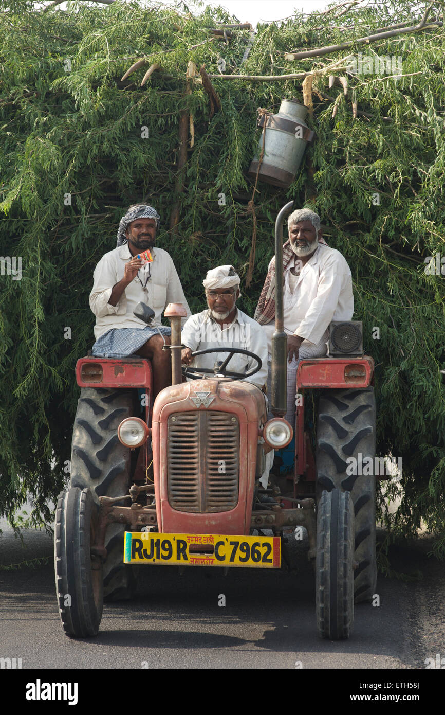 Fully laden Indian tractor on road from Jodhpur to Pushkar, Rajasthan ...