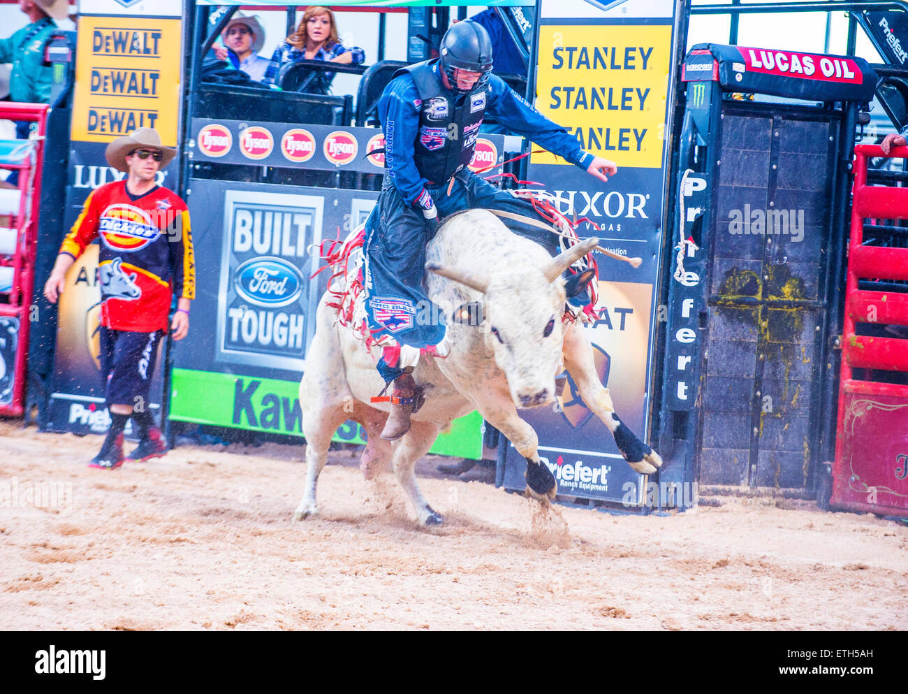 Cowboy Participating in a Bull riding Competition at the Las Cowboy ...