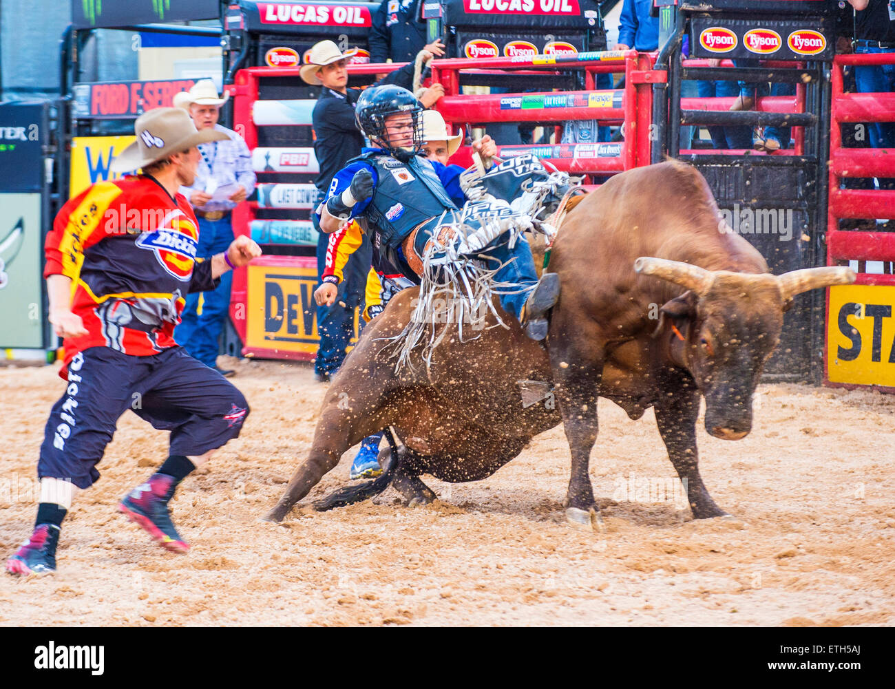 Cowboy Participating in a Bull riding Competition at the Las Cowboy ...