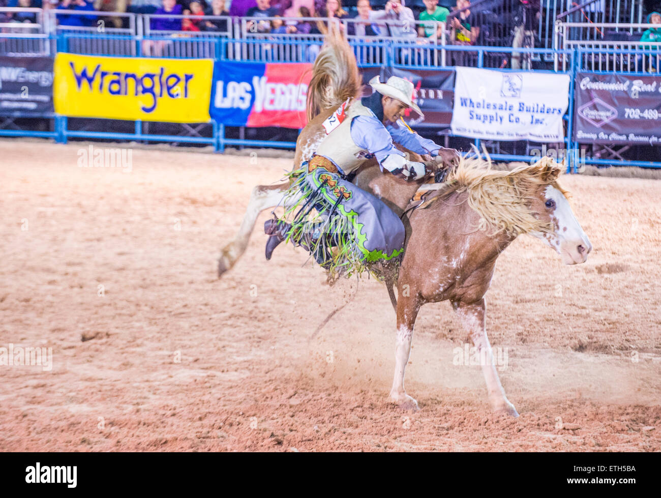 Cowboy Participating in a Bucking Horse Competition at the Helldorado ...