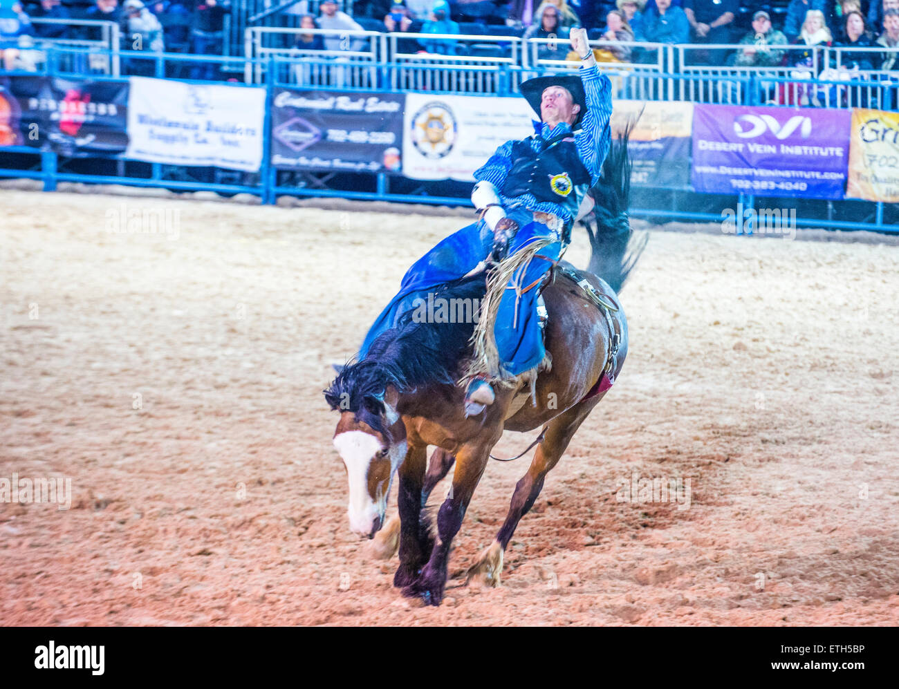 Cowboy Participating in a Bucking Horse Competition at the Helldorado ...